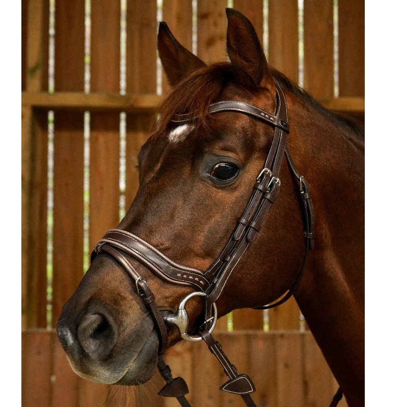 Filet Dyon Working Fit - Working Collection - DYON - Bridons - mon ...