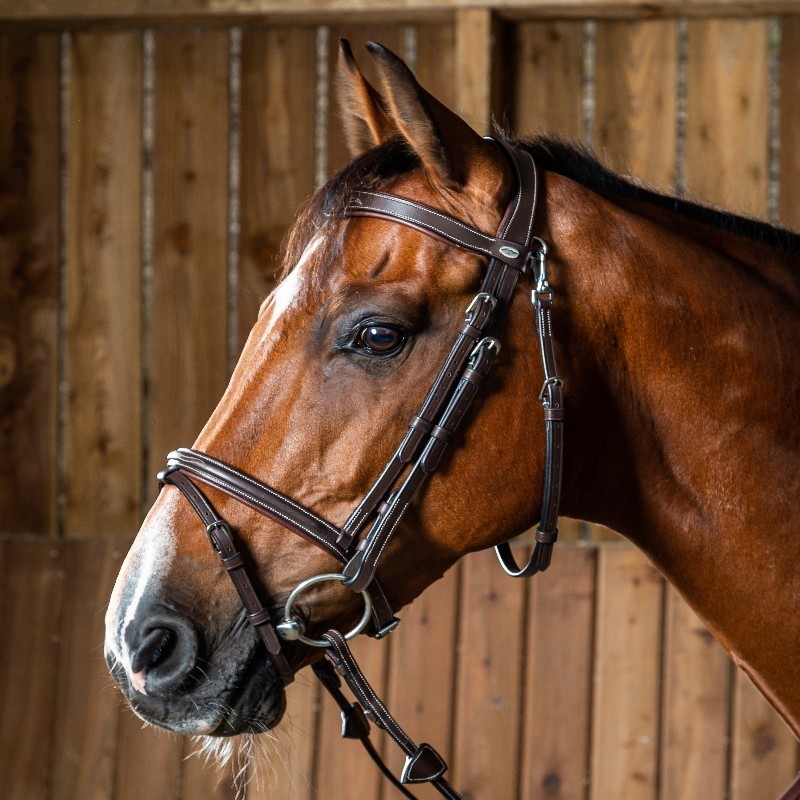 Filet Dyon muserolle combinée Working Collection - DYON - Bridons - mon ...