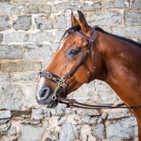 Filet pour Hackamore Dyon D-Collection - DYON - Bridons - mon-cheval.fr