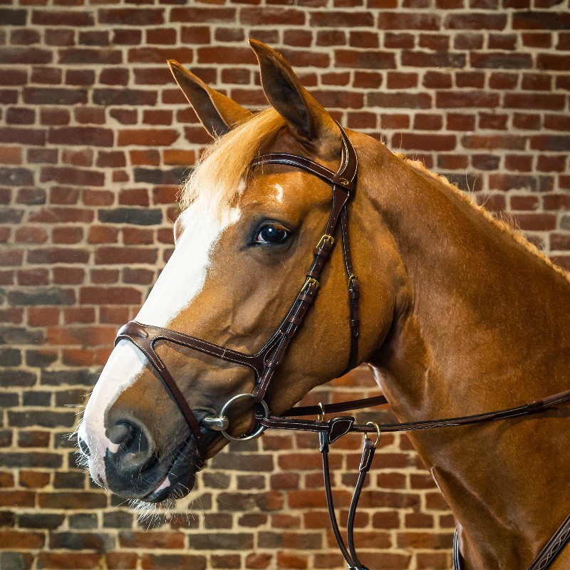 Bridon Dyon X-FIT D-Collection - DYON - Bridons - mon-cheval.fr