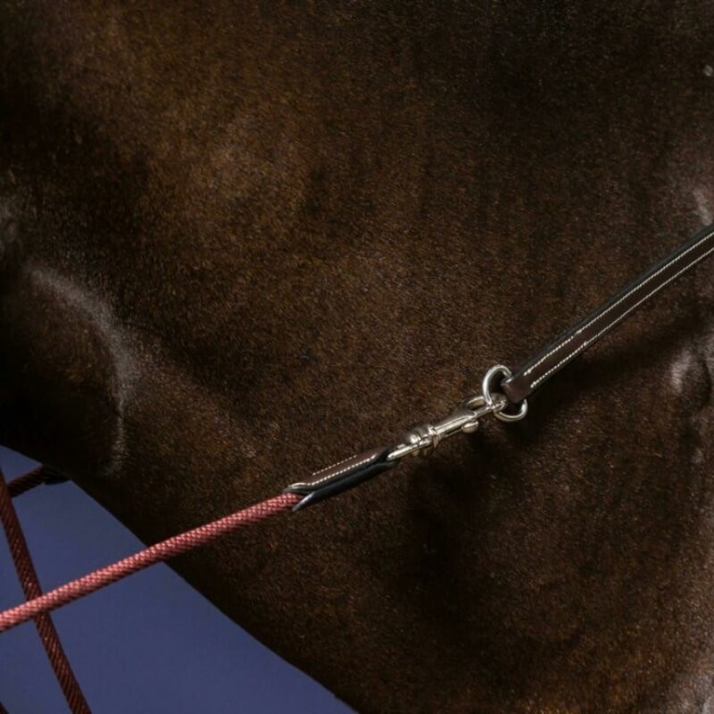 Rênes de gogue cheval en caoutchouc Dy'on - DYON - Rênes - mon-cheval.fr