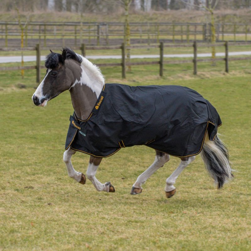 Couverture de pré poney 50 g Bucas Irish Turnout light - BUCAS ...